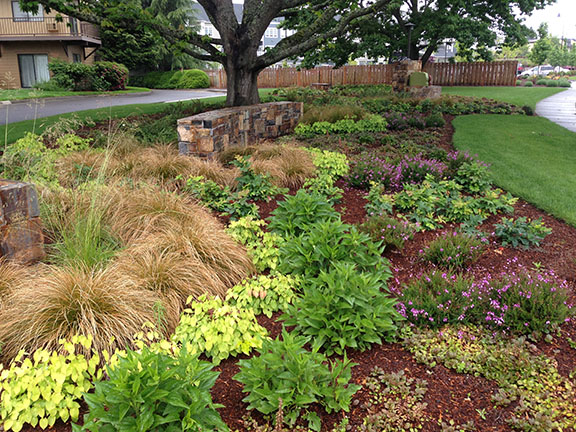 Stangeland & Associates » » Plant Selection and DesignStangeland ...